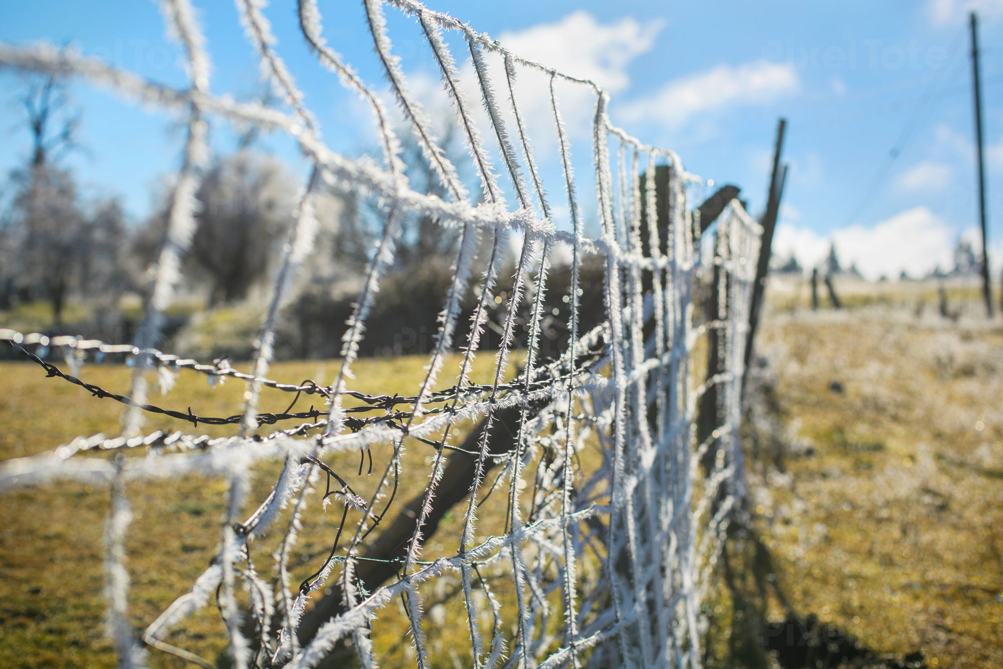 Morning Frost on a Metal Fence Stock Photo - PixelTote
