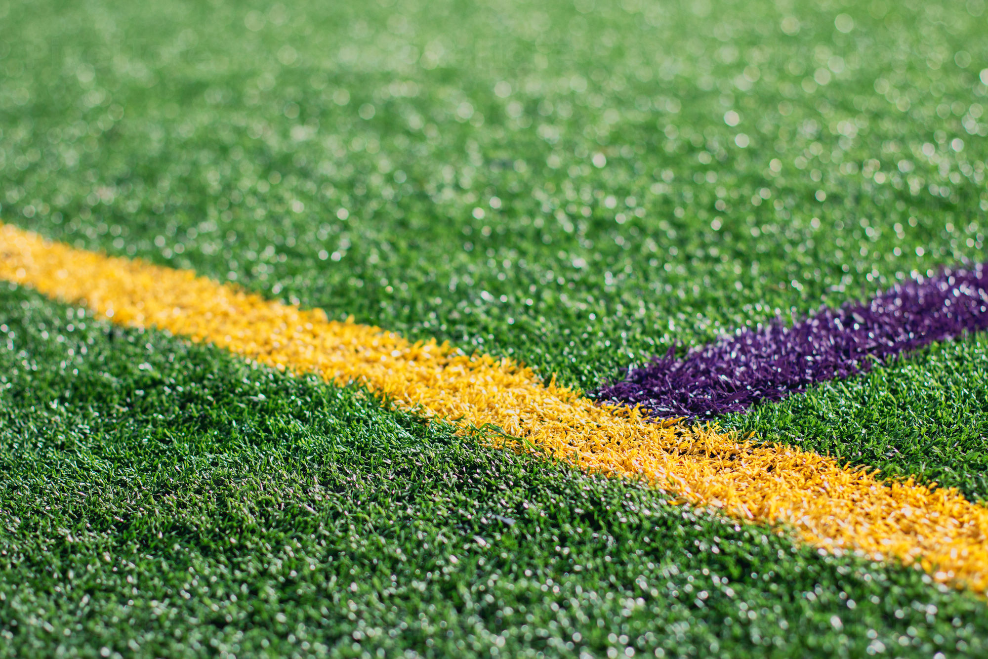 Close-Up View of Colorful Field Stock Photo - PixelTote