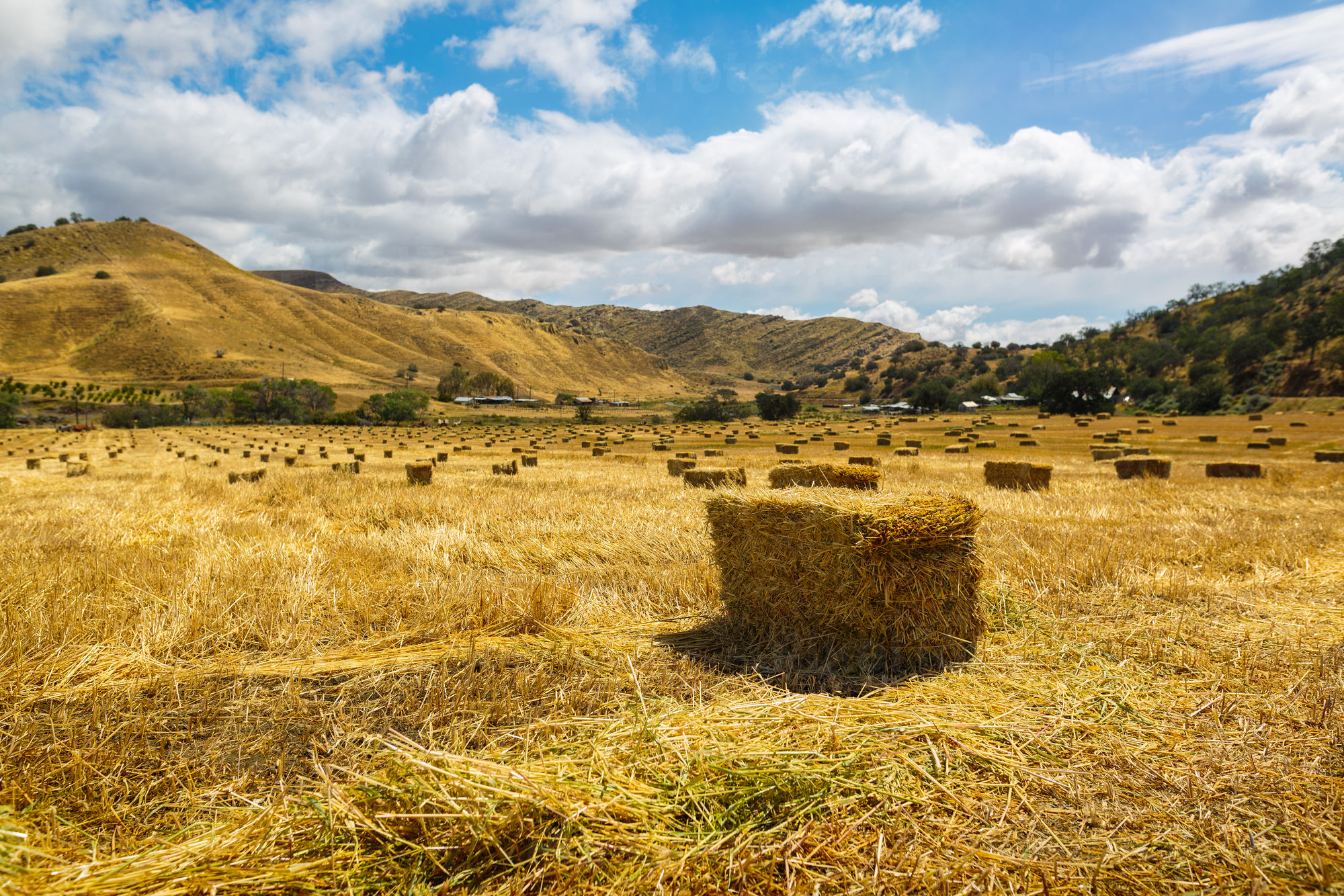 Hay Bales in a Field with Dramatic Stock Photo - PixelTote