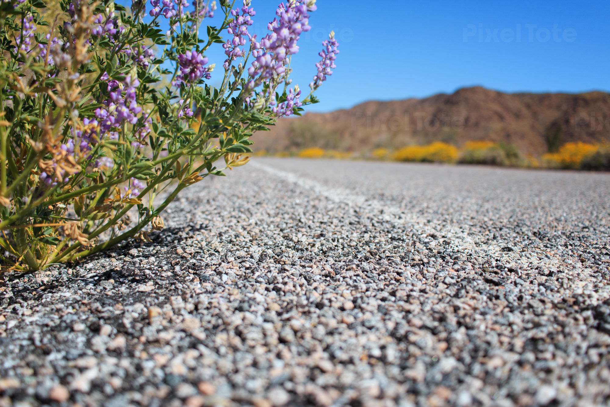 Low-Angle View of a Road with Stock Photo - PixelTote