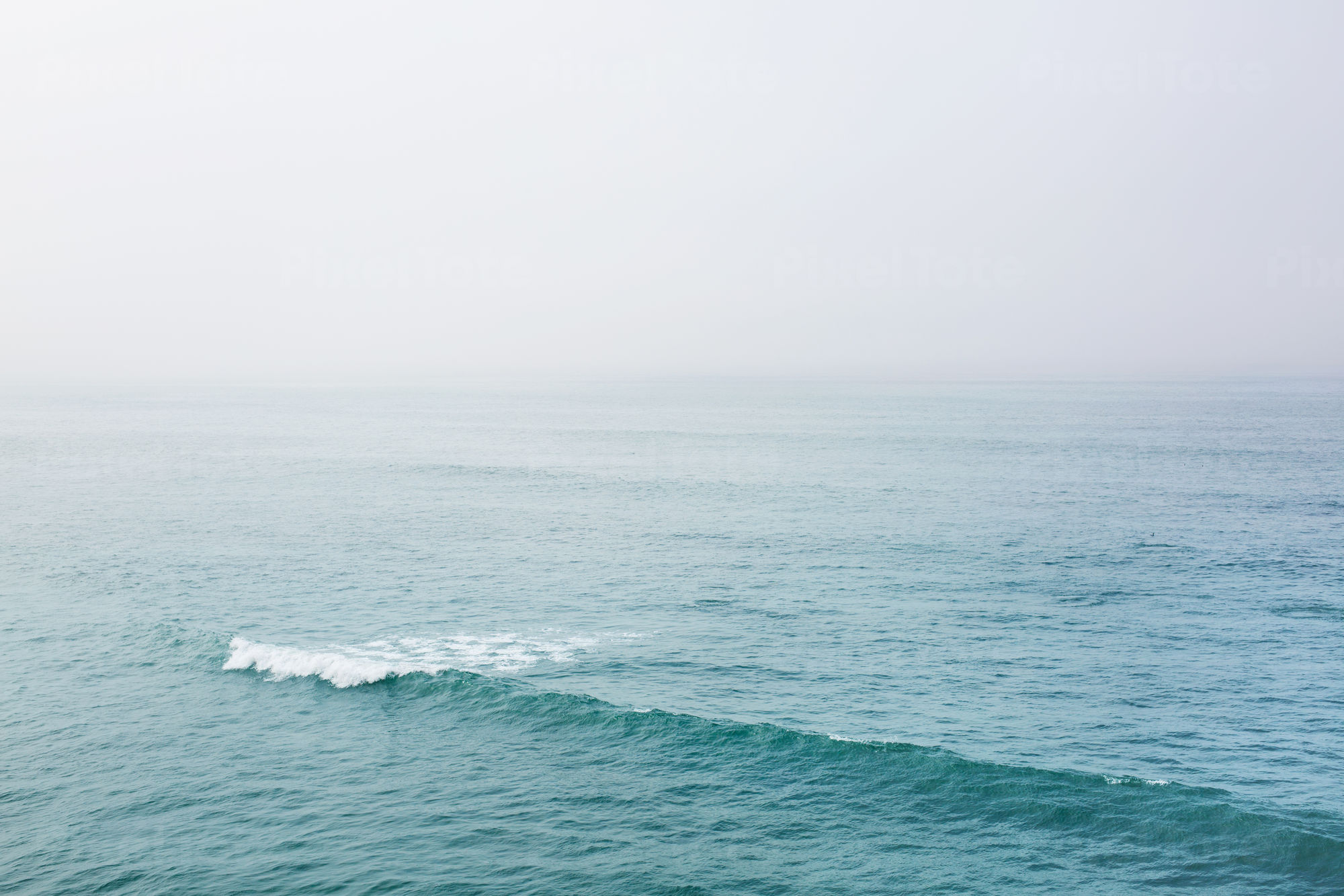 Misty Morning on the Ocean Coast Stock Photo - PixelTote