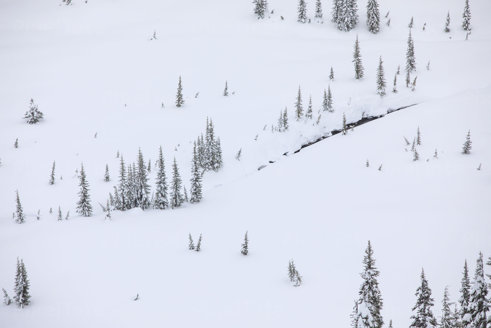 Low-Contrast View of a Snowy Stock Photo - PixelTote
