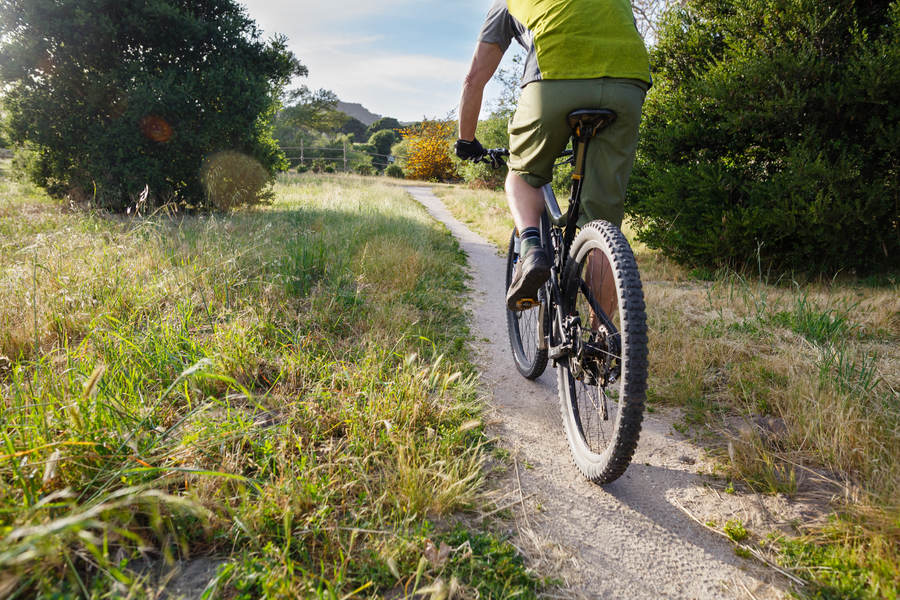 Mountain Biker Riding on a Singletrack Stock Photo - PixelTote